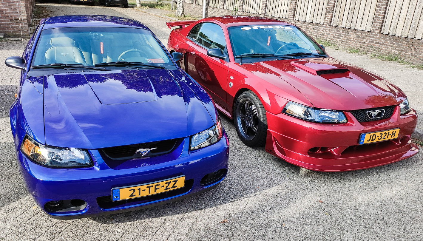 Denise and her Mustang Addiction - The Steeda SSV 2004 GT SN95 in Holl